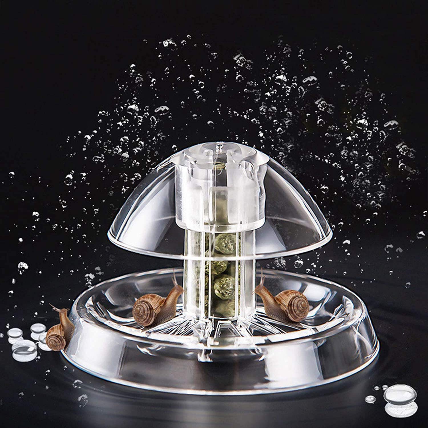 KVSERT 2 Pcs Snail Trap for Fish Tank Aquarium Plastic Clear Snail Trap Planarian Leech Catcher 6cm
