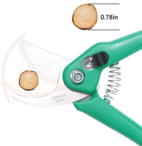 Madotree 8 inch Garden Pruning Shears,SK5 Blade Pruning Scissors,For Cutting Flowers, Trimming Plants, Bonsai and Fruits Picking