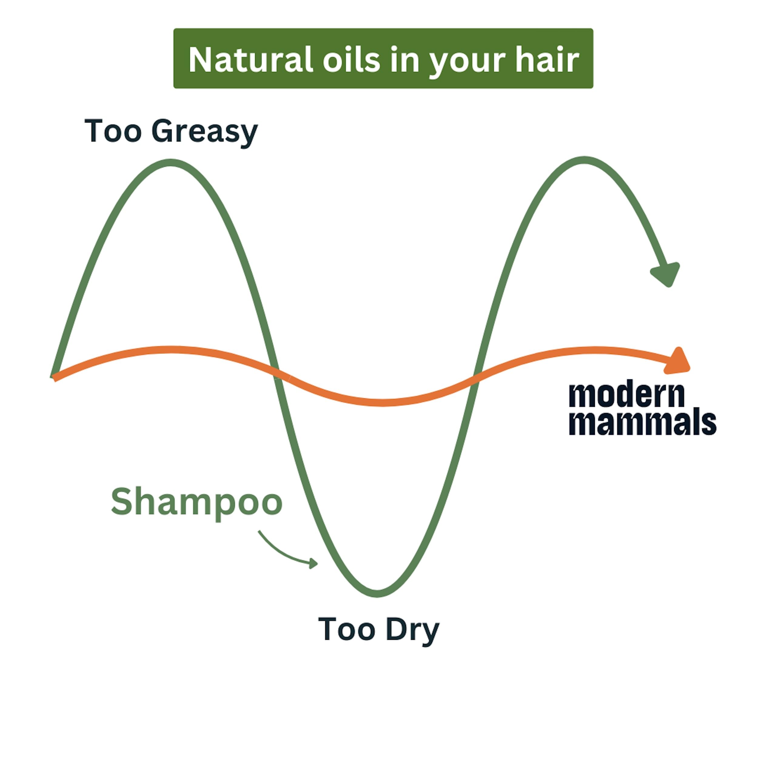 Modern Mammals Magic Mud Men's 2-in-1 Shampoo & Conditioner, Lather-Free, Daily Cowash (32 oz Refill Pouch) with Wooden Comb
