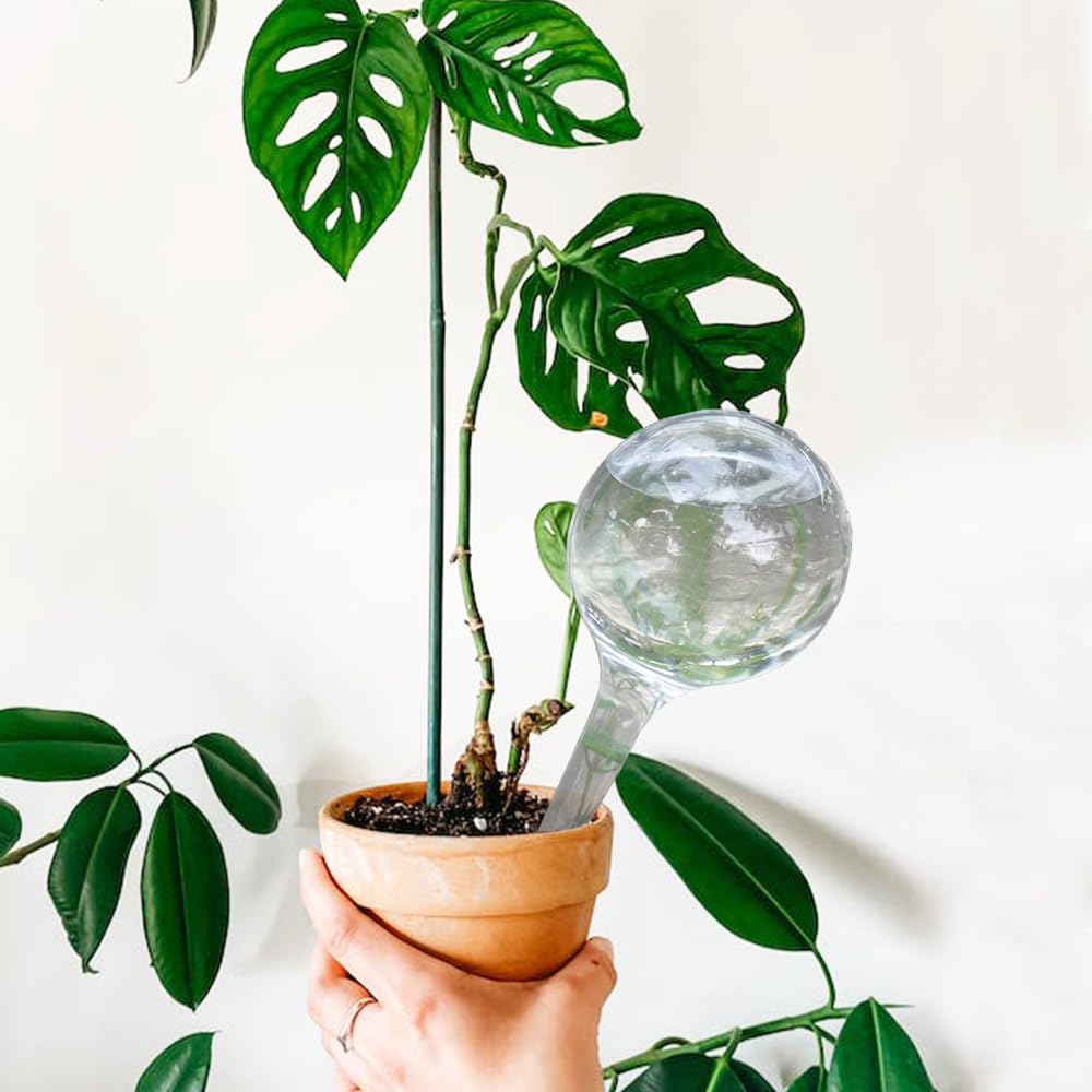 Kingbow 10pcs Clear Plant Self Watering Globes, Plastic Self Watering Bulbs Flower Automatic Watering Stakes Devices, Garden Self Watering Device for Outdoor Indoor Plant