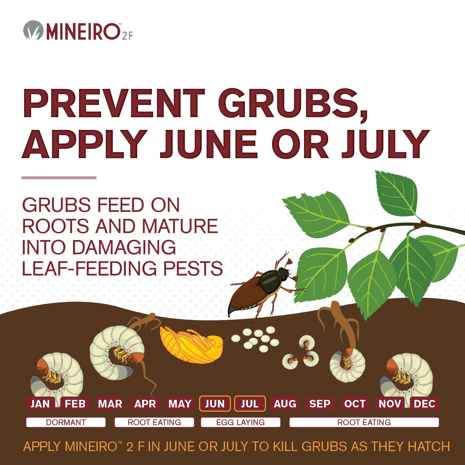 Mineiro 2F Imidacloprid Systemic Insecticide (1 Gal) by Atticus (Equivalent to The Leading Brand) β Grub and Insect Control in Lawns and Landscapes