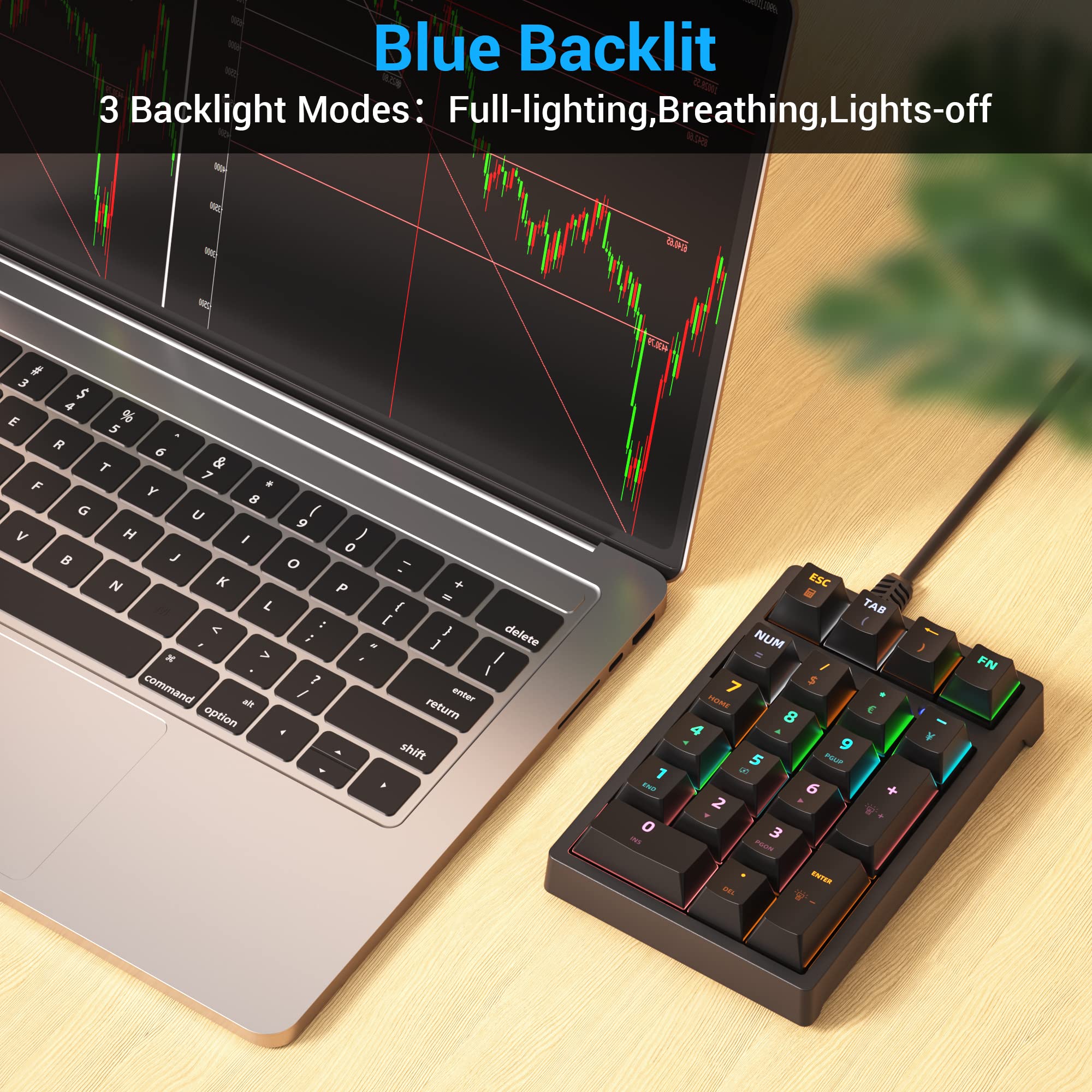 Mechanical USB Wired Numeric Keypad,Number Pad with Blue LED Backlit 21 Key Numpad for Laptop Desktop Computer PC Black (Blue switches)