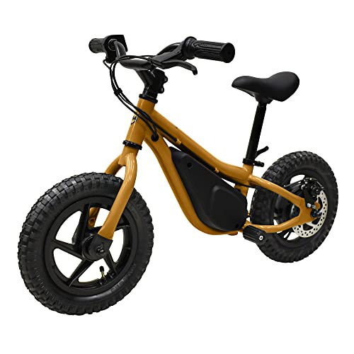 Massimo Motor E-11 Electric Bike for Kids 150 Watt, Age 3-8 yrs, 12in Wheels, Throttle Accelerate Adjustable Seat (Orange)