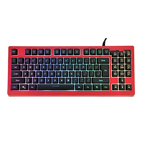 MAXBA Big Keyboard Professional Ultra-Slim Wired Keyboard for Desktop Laptop PC 87-Key Mechanical Feel RGB Backlight Wired Gaming Keyboard