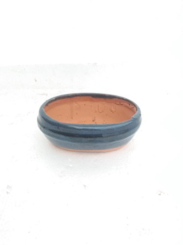Oval blue Ceramic Bonsai Pot - Japanese Houtoku Brand - 5'' L / 4'' W / 2'' H