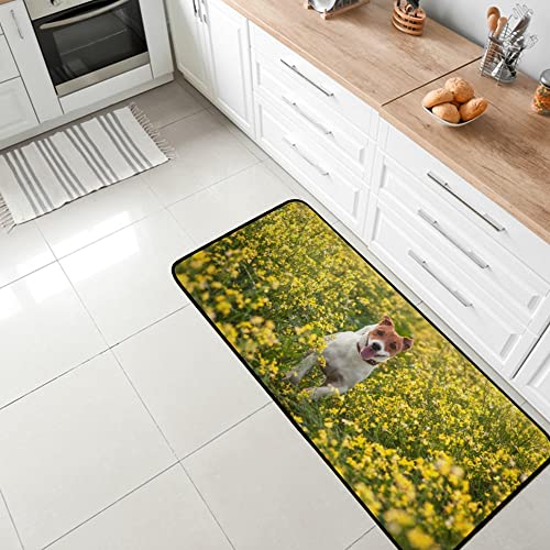 Kitchen Mat Rug Comfort Standing Mat Yellow Flower Dog Soft Absorbent Runner Rug for Hallway Entryway Bathroom 39x20 inch