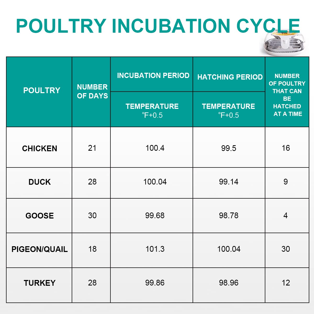 Lreerge Egg Incubator, 12 Eggs Incubator with Automatic Egg Turning, Automatic Water Adding, 360 Degree View, for Hatching Chicken Goose Quail Duck