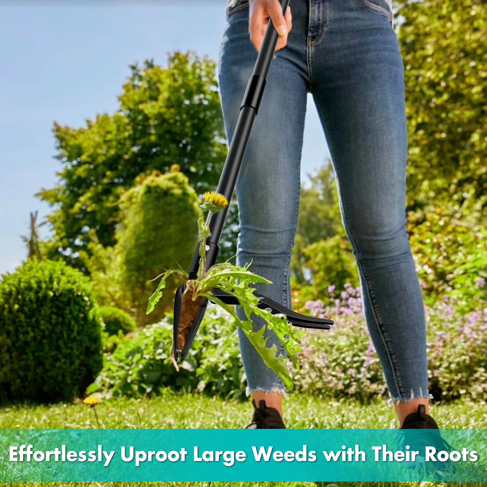 Lcokeiy Weed Puller Tool Stand Up Heavy Duty, 63" Long Handle Stand Up Weeder with 4 Claw Steel,Heavy Duty Weeding Tool for Dandelions Root