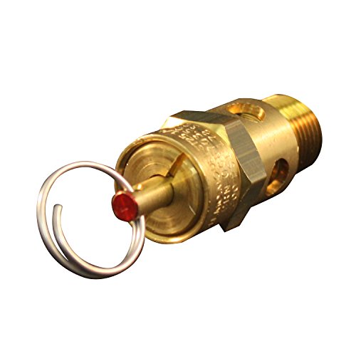 Milton 1090-200 1/4" MNPT ASME Safety Valve - 200 PSI Pop off Pressure