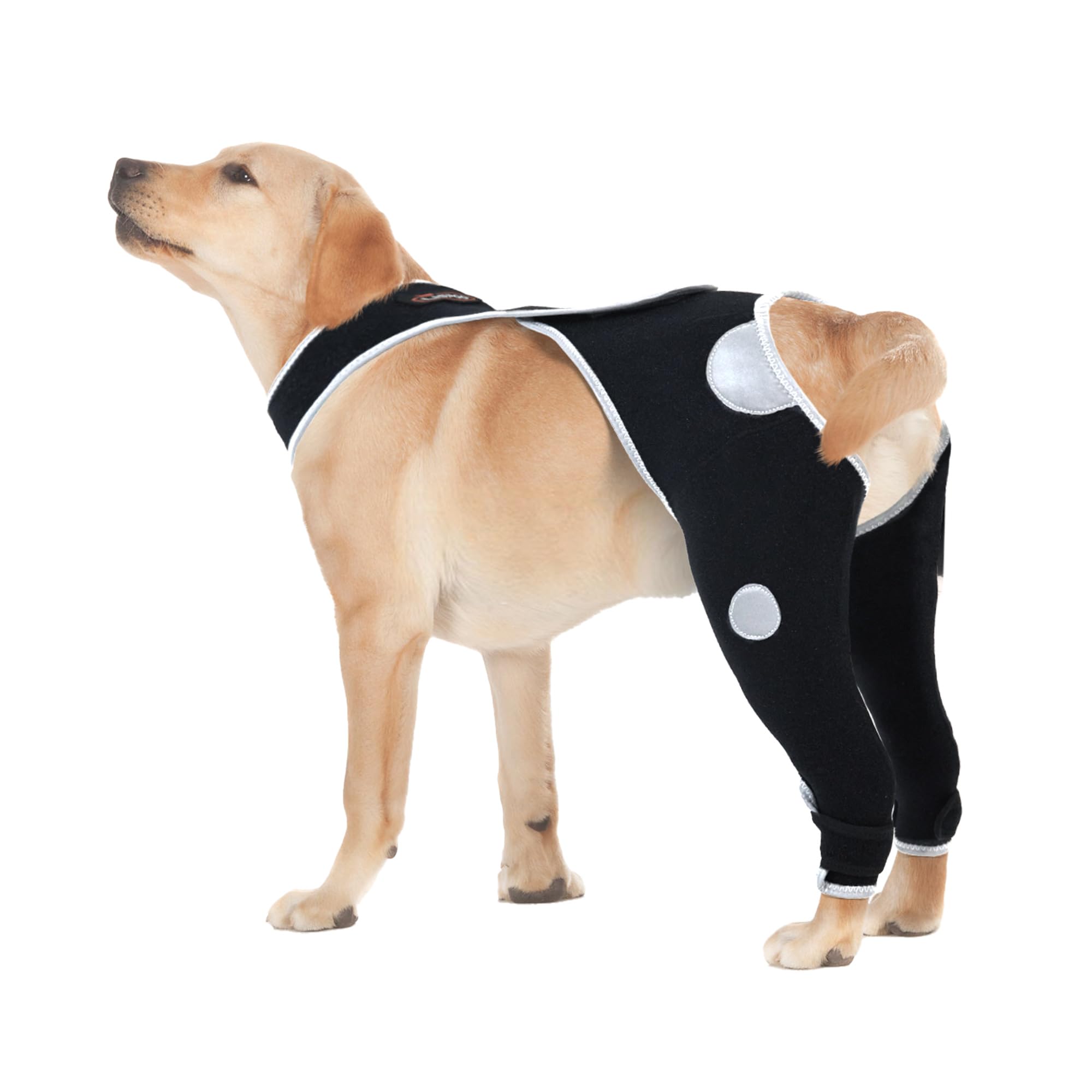 Moysoon Dog Anti-Licking Leg Sleeve,Rear Leg Protector to Stop Licking,Wound Protection Sleeve for Post-Surgery Recovery,Double Leg