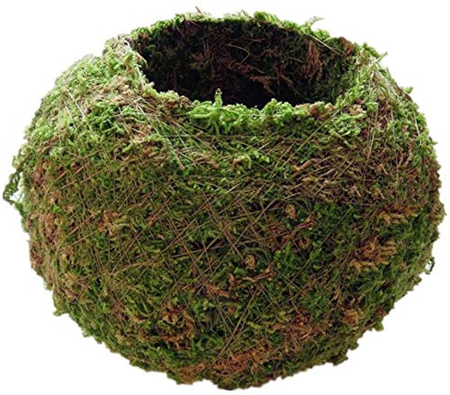 Moss Ball Flower Pot Natural Planter Bonsai Plant Holder Bird Nest for DIY Gardening Home Table Decoration - 12cm