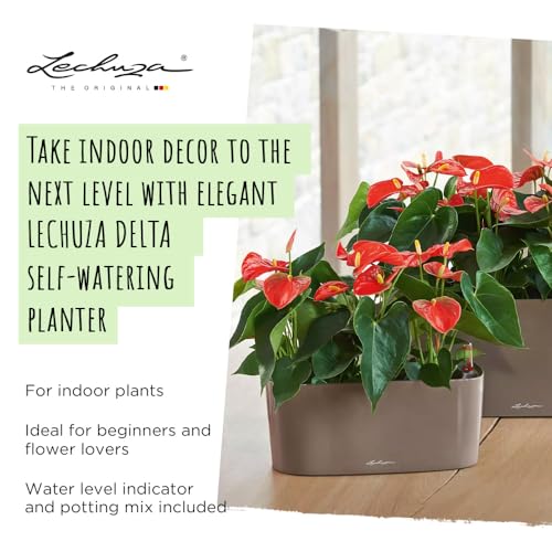 Lechuza 15460 Delta 10 Indoor and Outdoor Use, 12" x 4" x 5", Self Watering Planter, 30cm, White High Gloss