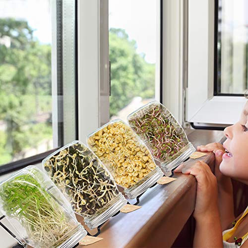 LIVEBAY Sprouting Jar Kit Stainless Steel Kitchen Sprouting Lids and Stands Seed Sprouter Set Organic Healthy Fresh 1L Wide Mouth Mason Jar for Broccoli, Alfalfa, Mung Beans