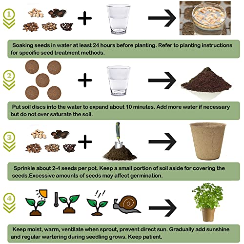 Indoor Herb Grow Kit, 5 Herb Garden Starter Kit with Complete Planting Kit & Wooden Flower Box for Kitchen Windowsill Herb Garden DIY
