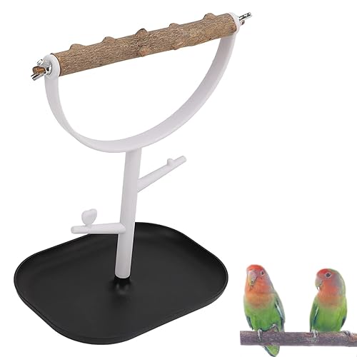 Parrots Stand, Portable Desktop Bird Playstand Parrots Training Stand for Parakeets Cockatiels Lovebirds Bird Training Stand Table Top Bird Perch Bird Playground Bird Stand Parrot Perch Stand