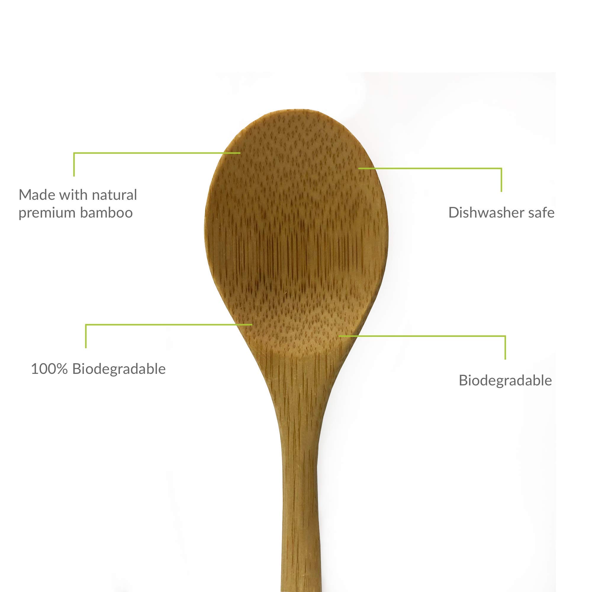 JapanBargain 3807, Pack of 10 Solid Bamboo Dinner Spoons Soup Spoons, 8-inch
