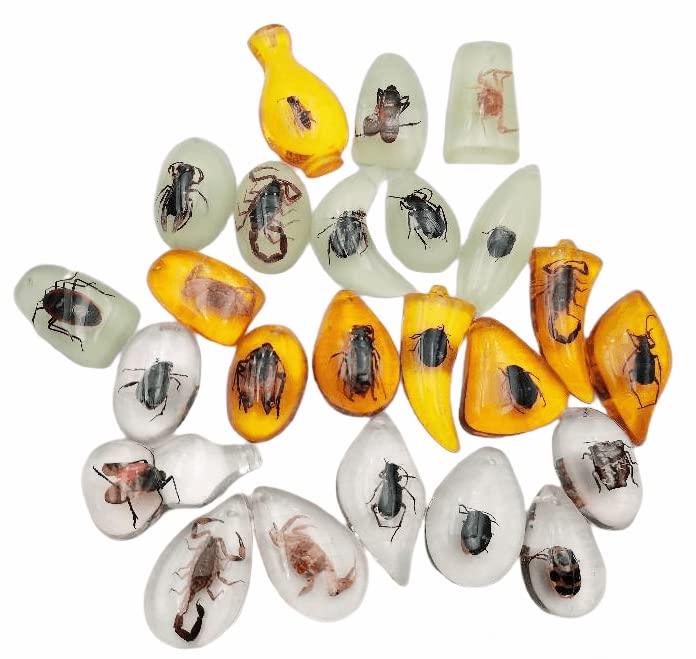 Multiple Psc Insect Amber Fossils, Luminous Amber Fossil Pendants, Educational and Scientific Amber Collections (12Pcs)