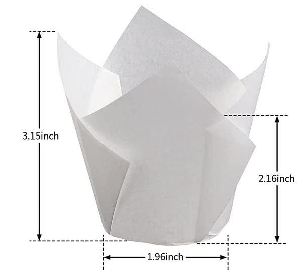 Leqi Baking Cups 100 Count Natural Cupcake Muffin Paper Liners Grease-Proof Wrappers for Wedding Birthday Christmas Party Baby Shower Anniversaries All Festivals (White)