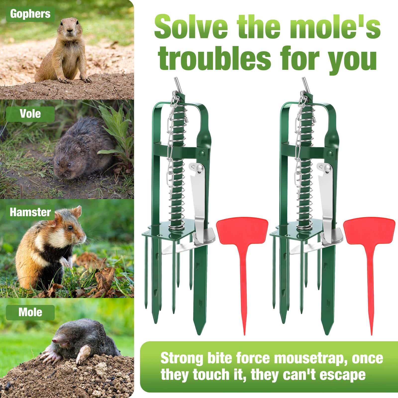 Qualirey 4 Pack Mole Trap Gopher Trap Ground Squirrel Trap Galvanized and Oil Hardened Spear Style Mole Killer Animal Trap Reusable for Lawn Garden Farm (Green)