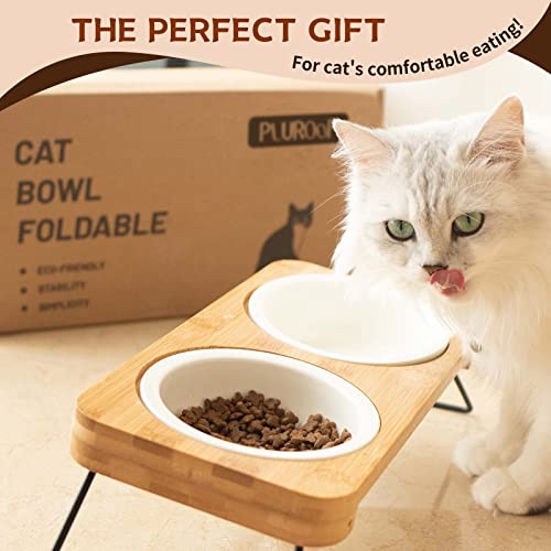 PLUROOF Ceramic Elevated 15°Tilted Cat Bowls, Food and Water Feeding Dishes Bowls, Non-Slip Metal Frame Stand Feeder for Small Size Dogs