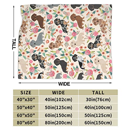 Majoug Cute Dachshund Pattern Sausage Pattern Throw Blanket Soft Lightweight Cozy Premium Flannel Warm Bed Blanket for Bedroom Living Couch All Seasons 60"X50"