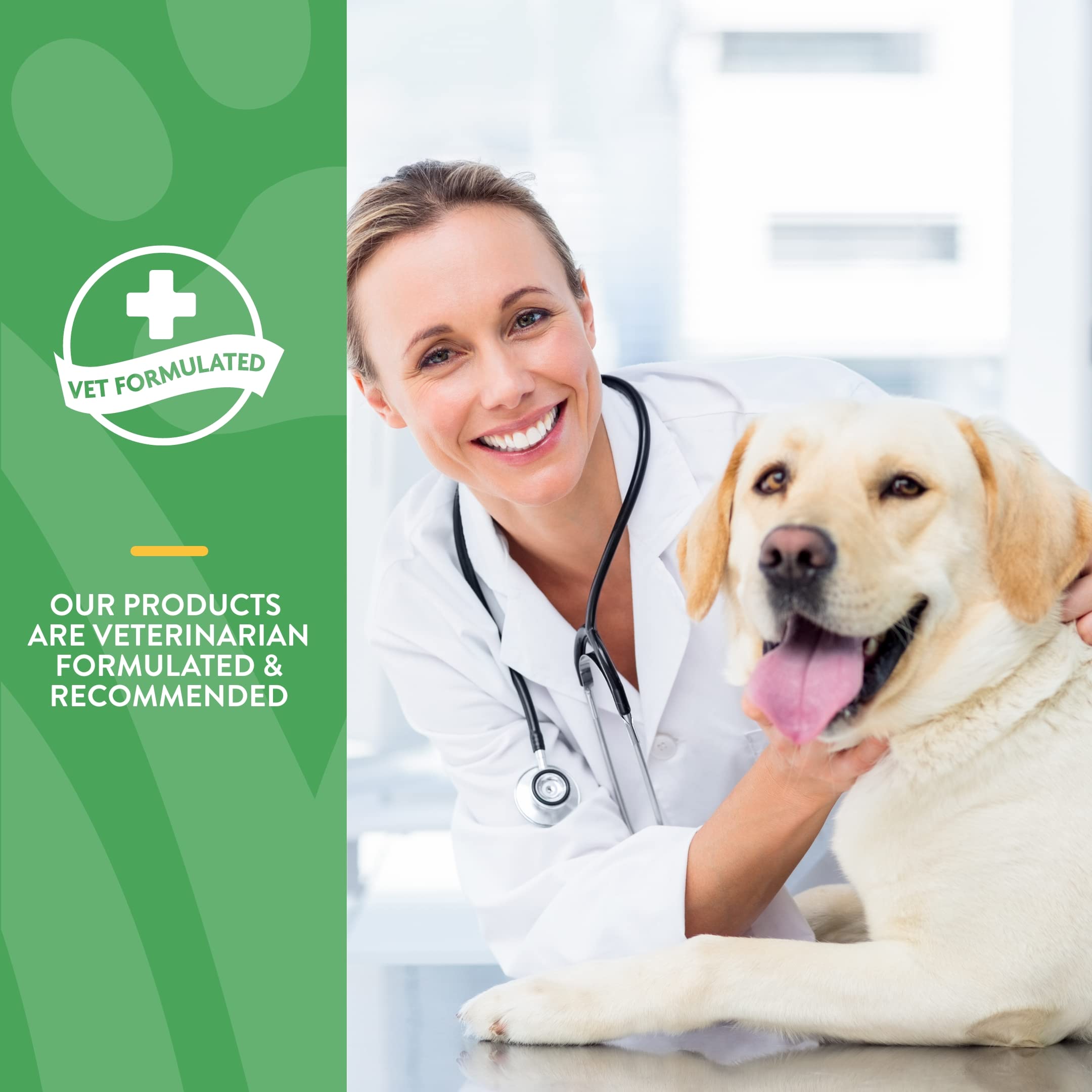 NaturVet β Advanced Probiotics & Enzymes|Supports and Balances Pets with Sensitive Stomachs & Digestive Issues 8 oz & No Scoot for Dogs - 120 Soft Chews - Supports Healthy Anal Gland & Bowel Function