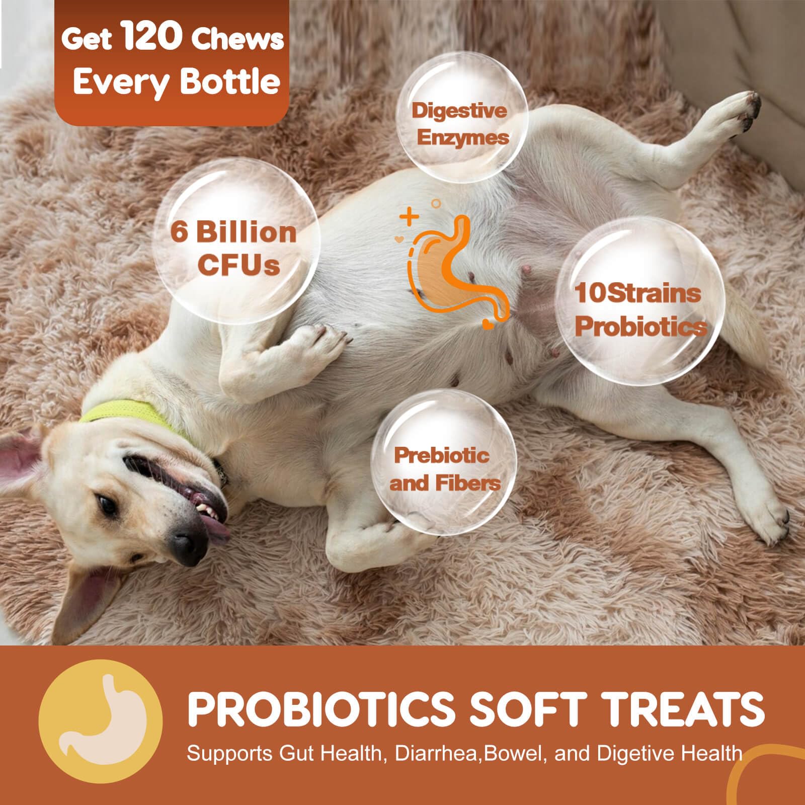 Probiotics for Dogs, Dog Probiotics for Digestive Health, Plus Pumpkin and Fish Oil, for Gut & Itchy, 103 Soft Chews