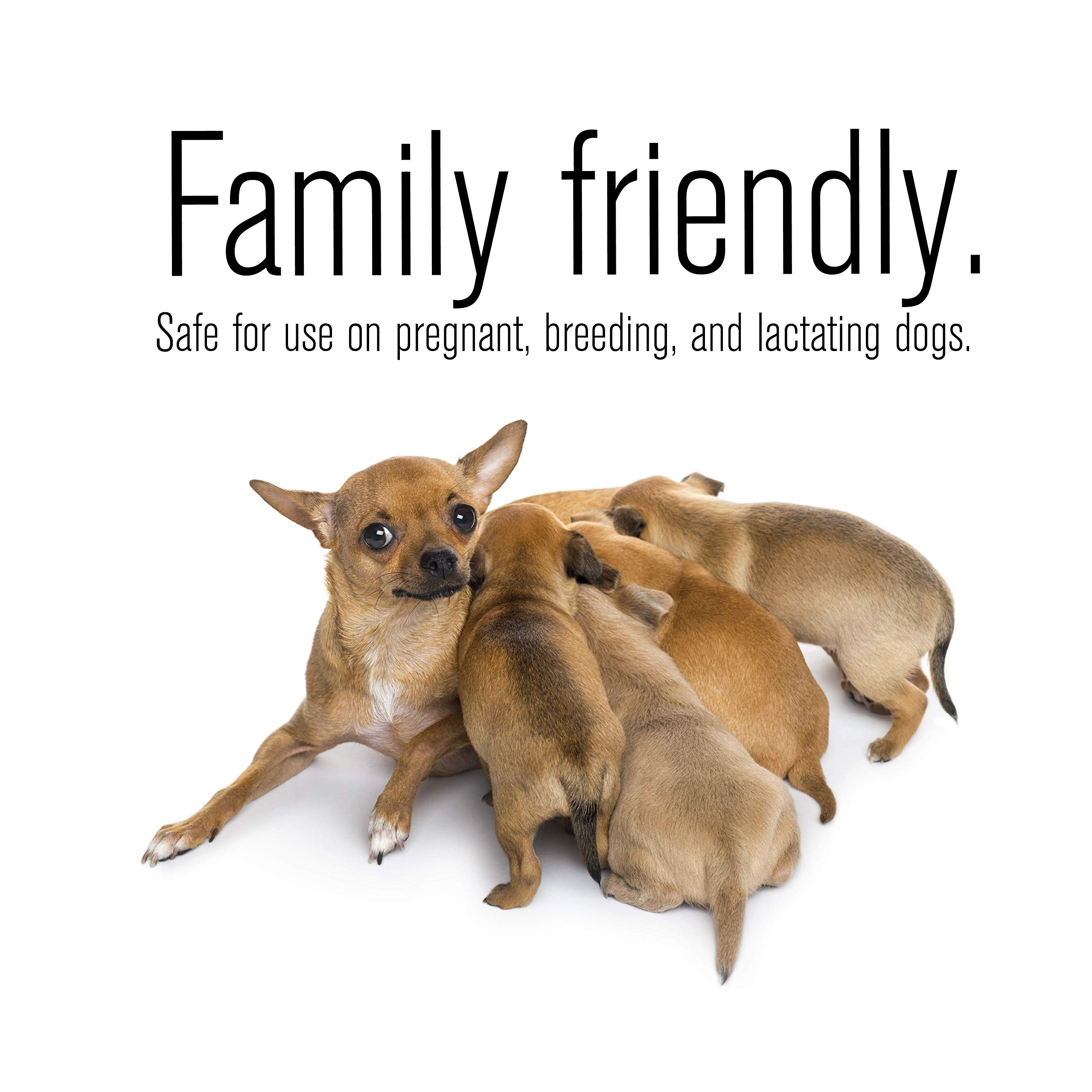 ZoGuard Plus Flea and Tick Prevention for Dogs, X-Large 89-132 lbs, 3 Months, 3 Doses