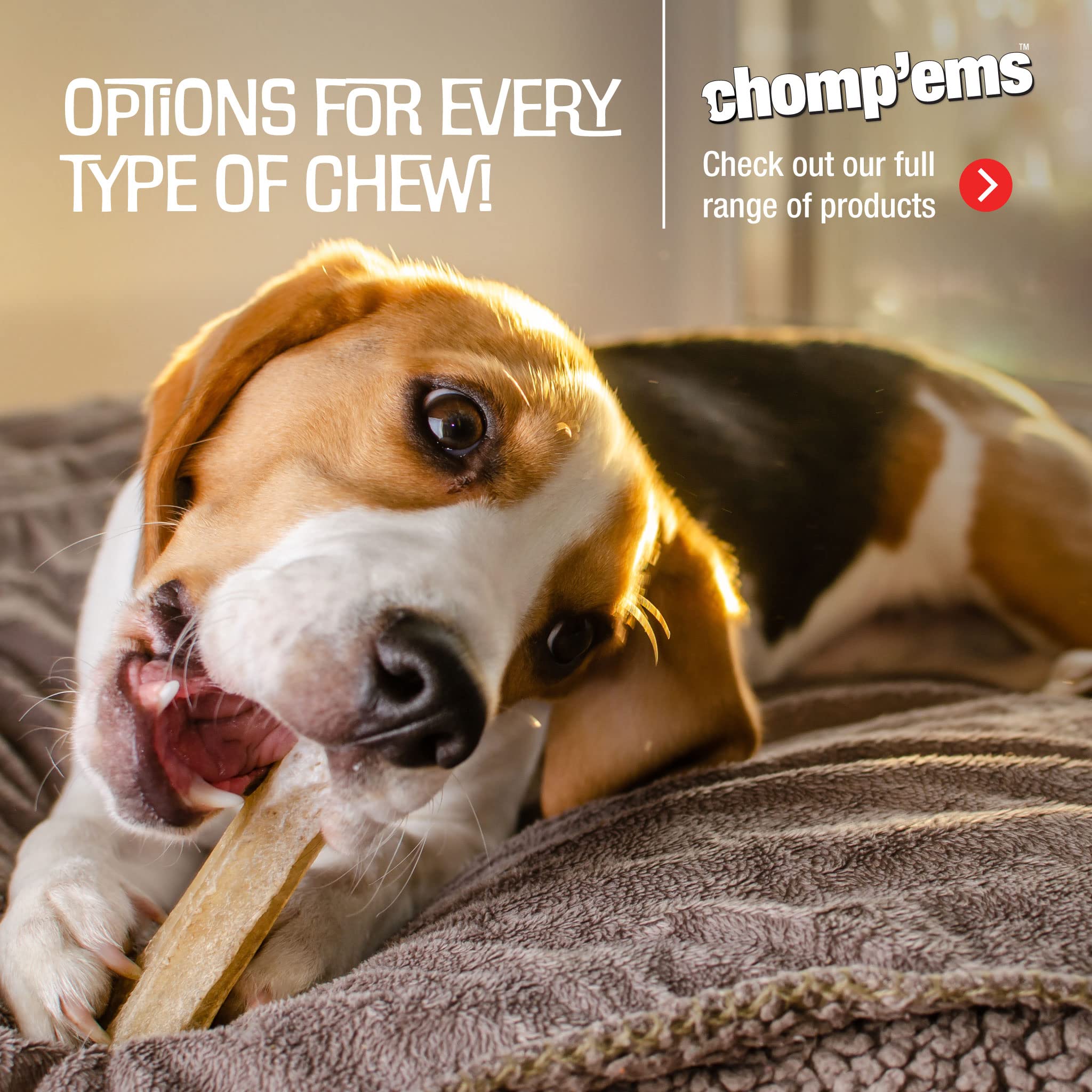 Ruffin' It Chomp'ems Serrano Ham Bone Wrapped with Prosciutto, 1 Pack - Healthy, Protein Rich Treats for Dogs - Long Lasting Dog Chews