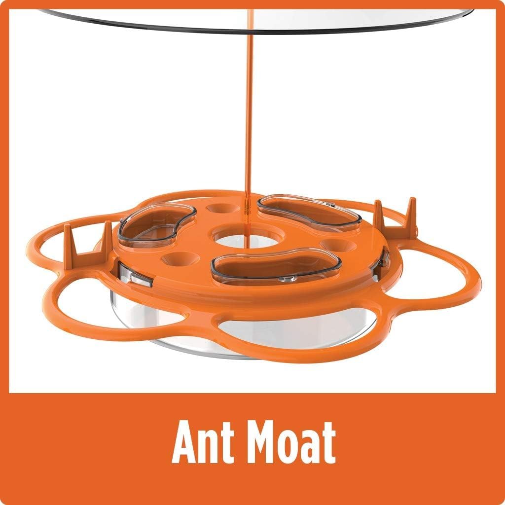 Nature's Way OFP1 All-in-One Oriole Buffet Bird Feeder, Orange