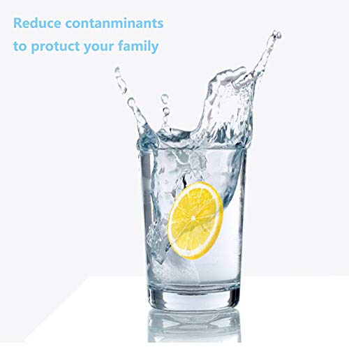 Lafiucy 5 Micron 10"x2.5" Coconut Shell Activated Carbon Water Filter, CTO,4 Pack,Compatible with Home Under-Sink & Countertop Filtration System