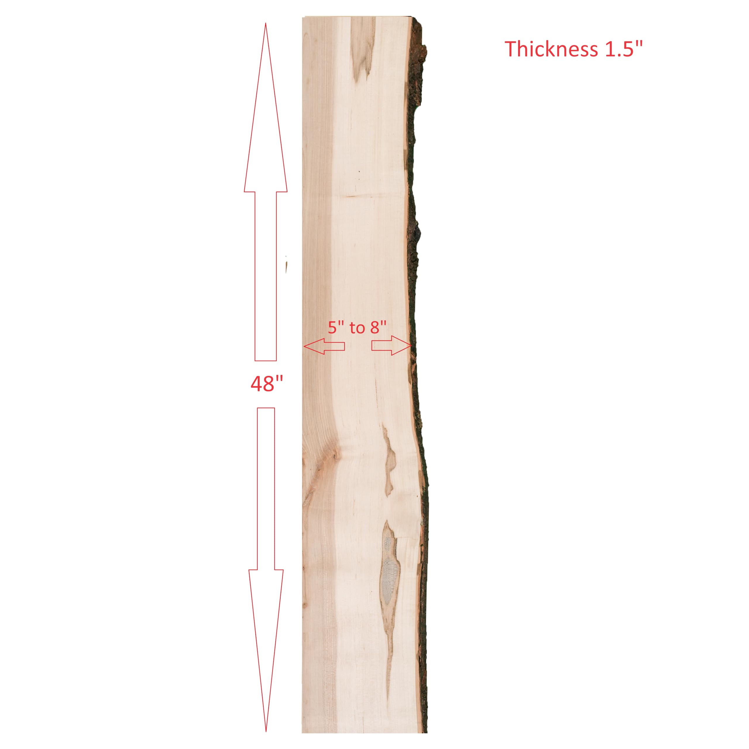 Live Edge Rustic Maple Shelf, 4 Feet Long, 1.5"" Varying 5-8 Inches Wide, Adds Character to Any Room, 47001