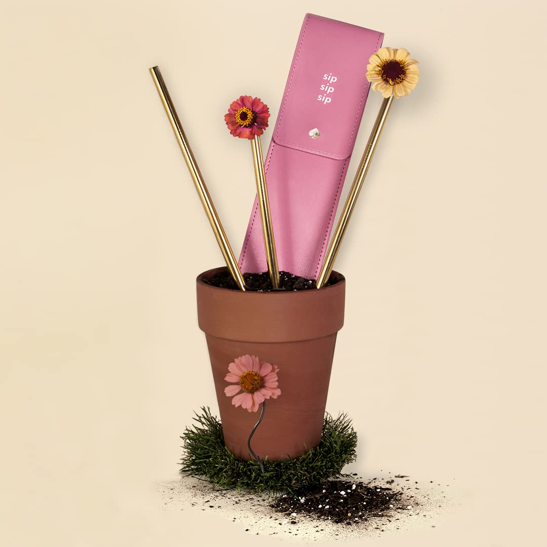 Kate Spade New York Reusable Straws with Case, Metal Straw Set of 3 with Cleaner Brush, Pink Colorblock