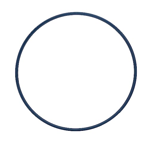 L Continue 1 Pcs DEX2422Z2 Metal Reinforced Seal,Replacement for Hayward C2030/C3030 C4030/C5030/C7030 and DE2420/DE3620/DE4820/DE6020/DE7220. (1, DEX2422Z2 Metal Reinforced Seal)