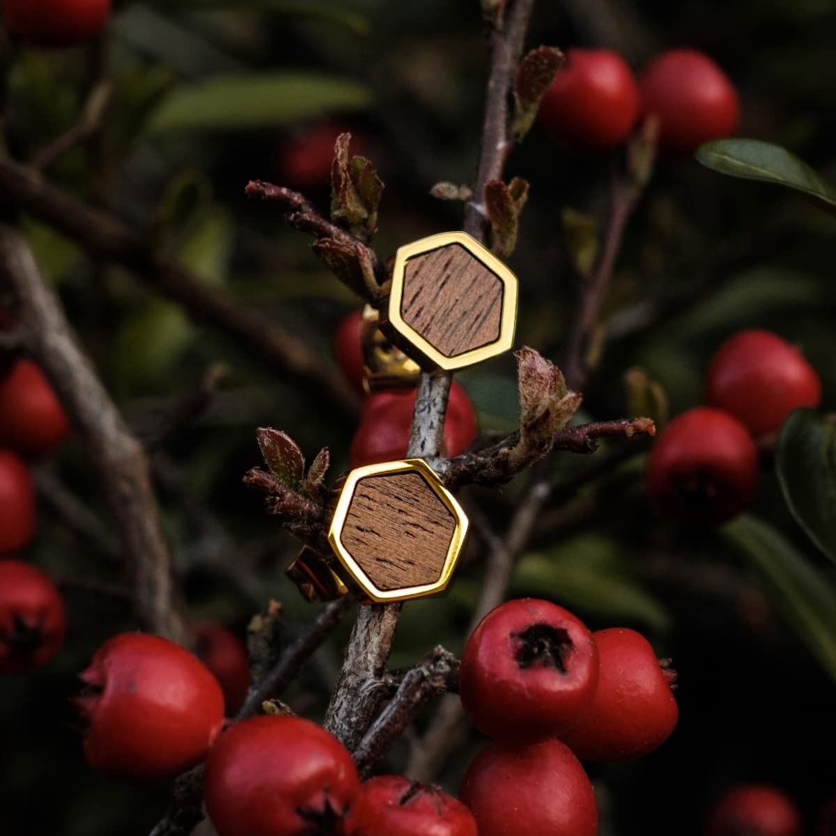 HOLZKERN Facade Composition, 24k Gold Earrings for Women with Unique Walnut Wood