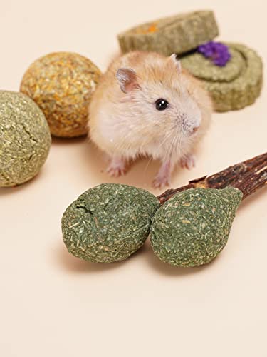 QWINEE 6pcs Hamster Chew Toy Set Small Animal Chewing Straw Cakes Balls and Lollipops for Rabbits Gerbils Rats Chinchillas Multicolor One Size