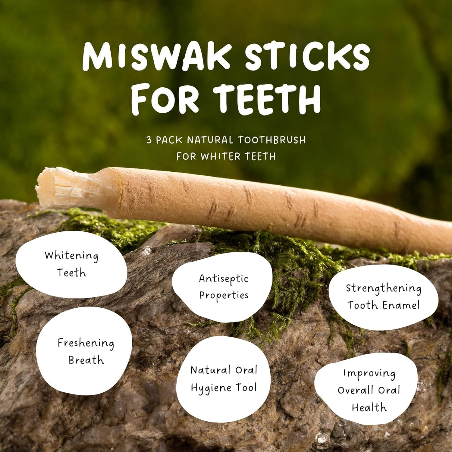 Miswak Sticks for Teeth, Natural Toothbrush, No Toothpaste Needed, Miswak Toothbrush Stick also known as Siwak Chew Sticks for Humans, Meswak, مسواك