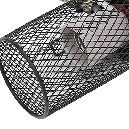 Reptile Lamp Cover, Anti-Scald Burn Protective Lampshade, Reptile Heater Lamp Guard, Heat Lamp Light Cage for Reptile, Reptile Anti-Scald Lampshade for Turtle Snakes Lizards Frogs Chicks(US Plug)