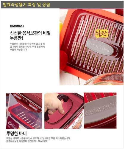 Lock & Lock BPA Free Rectangular Pickle Kimchi Press Ferment Storage Container (3.6L)