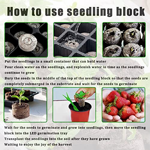 LCYATSI 2 Set 80-Cell Seed Starter Kit with Grow Light and 80pcs Peat Pellet Humidity Dome (80 Cells Total Tray) Seed Starting Trays, Base Large Greenhouse Germination Kit for Seeds Growing Starting