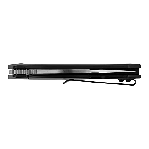 Kershaw Turismo Leaf Blade Pocket Knife 2.9 inch Blade, Assisted Opening Frame Lock, 5505, Black, 2.8 Ounce
