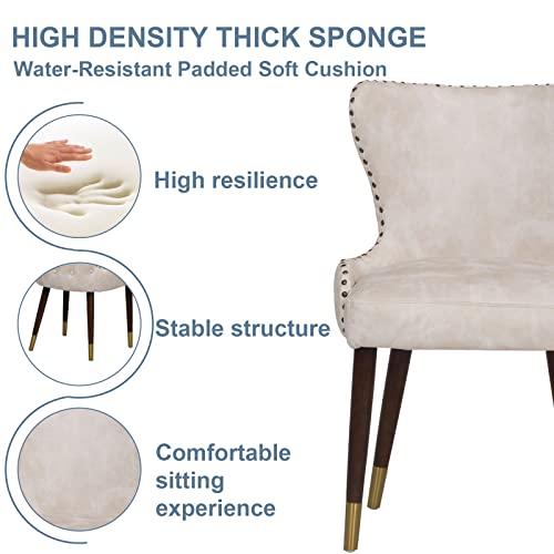 ROIYEIER Modern Dining Chairs Set of 2, Waterproof Wear Resistant Upholstered Dining Chairs with Armrest Soild Legs for Dining Room Living Room, Beige