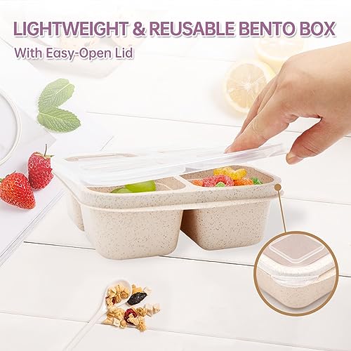 rngwaper 5 Pack Bento Lunch Box,4 Compartment Snack Containers,Divided Bento Snack Box,Meal Prep, Lunch Box Kids/Toddle/Adults,Food Storage Containers for School, Work and Travel (Multicolor-1)