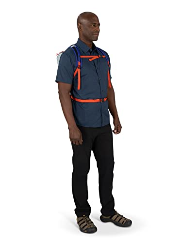 Osprey Daylite Cinch Backpack, Silver Lining/Blueberry, One Size