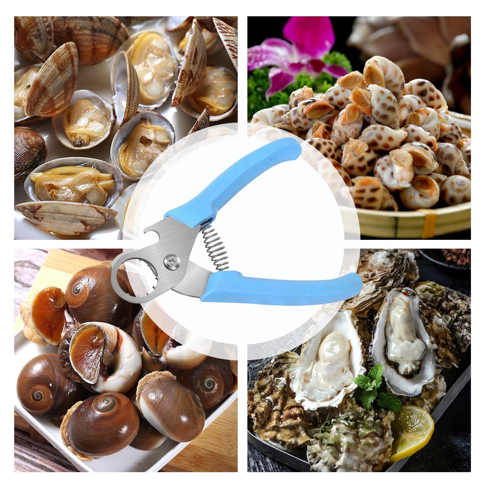 Seafood Snail Sheller - Snail Tail Cutting Tool | Lightweight Sheller Seafood Tool Plier, Anti-Slip Snail Shell Pliers Sheller Seafood Tool, Stainless Steel Escargot Clippers For Escargot & Seafood