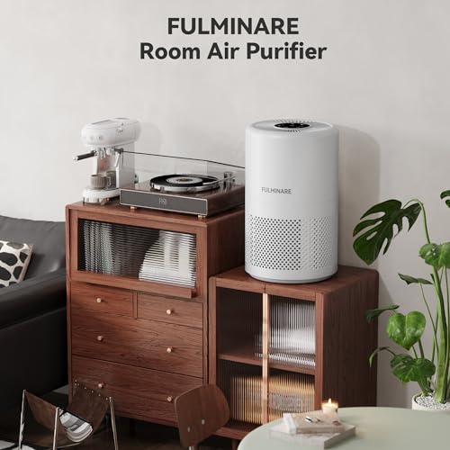 Original FULMINARE T10 Air Purifier Replacement Filter, 3-In-1 Filter, Efficiency Activated Carbon, Filtering Out 99.99% 0.01 Microns, Smoke, Pollen, Particles