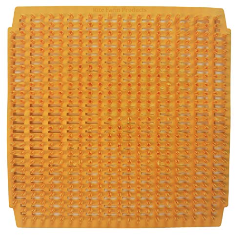 Rite Farm Products Washable Poly Nesting Box PAD MAT Bottom for Chicken COOP Hen House Poultry NEST Pads