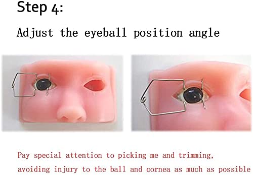 Ophthalmic Human Head Model, Animal Eye Simulation Training Model Ultrasound Emulsification Microscopy Operation Simulator for Medical Students