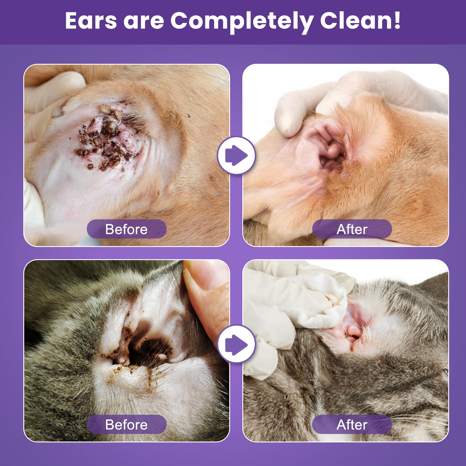 OUYOFI Ear Cleaner for Dogs & Cats, Pet Ear Cleaning Solution to Help Reduce Ear Dirt Buildup and Relieve Ear Odor,Gentle Ear Cleaning Solution,4 Fl oz