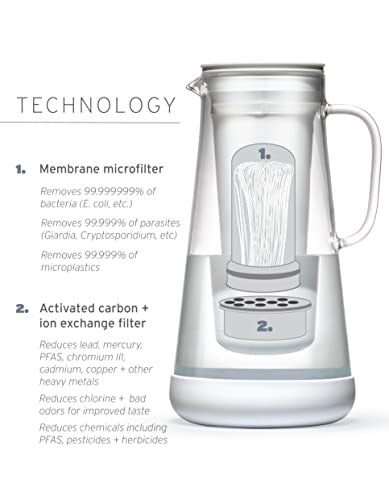 LifeStraw Home Pitcher Glass and Silicone Base 7 cup Pebble